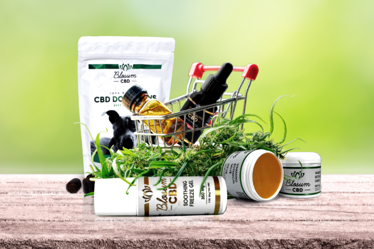 Everything You Need to Know About ECS Deficiency – CBD Advisors